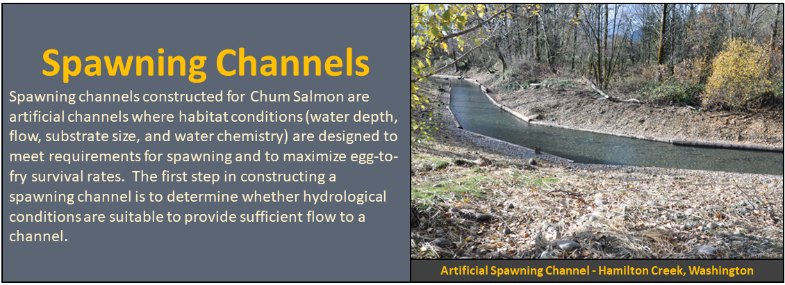 Artificial Spawning Channels - Background | ODFW Chum Salmon Reintroduction Program